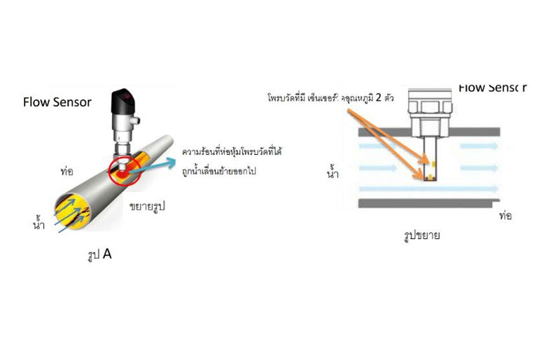 รู้หรือไม่ Turck FCS flow sensors ใช้หลักการอะไร? | TIC